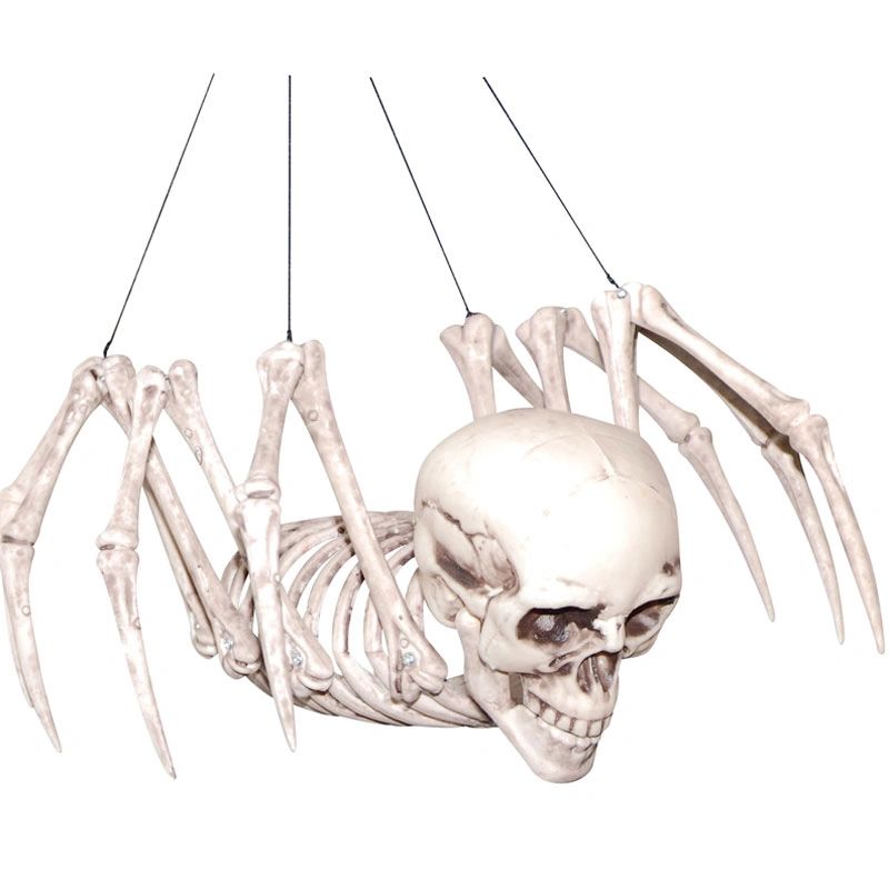 Spider Skeleton