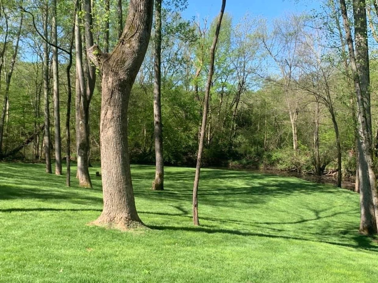 Bucks Mill - Weddings, The Knot, Wedding Venue, Events