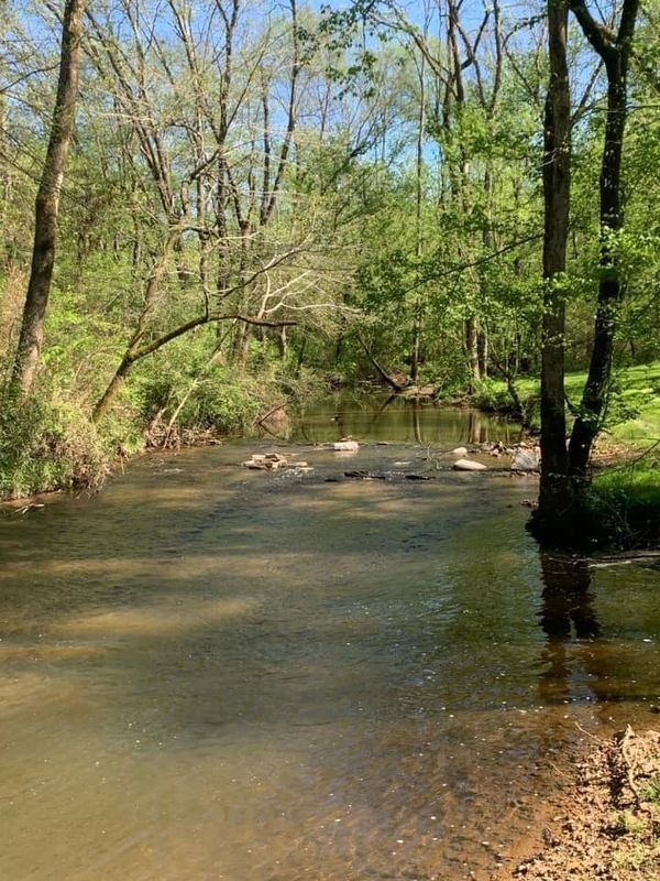 Bucks Mill - Weddings, The Knot, Wedding Venue, Events