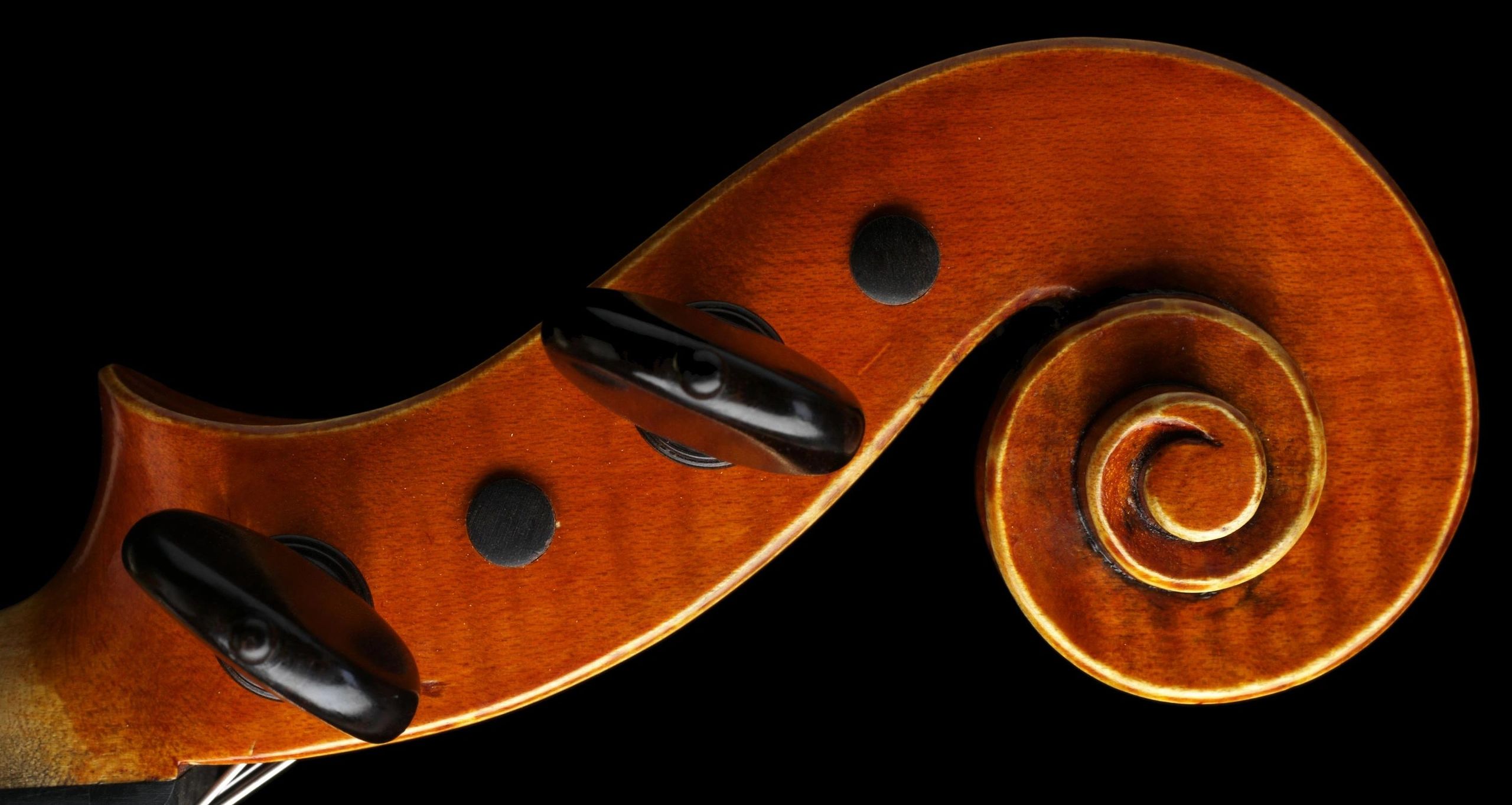 Tom's Violins - Violin Repairs - Springfield, Missouri