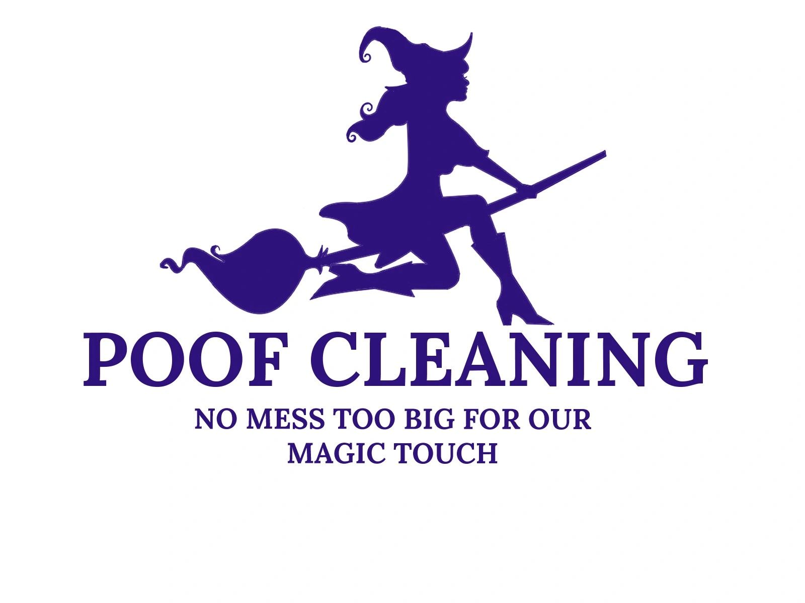 Professional House Cleaning Services