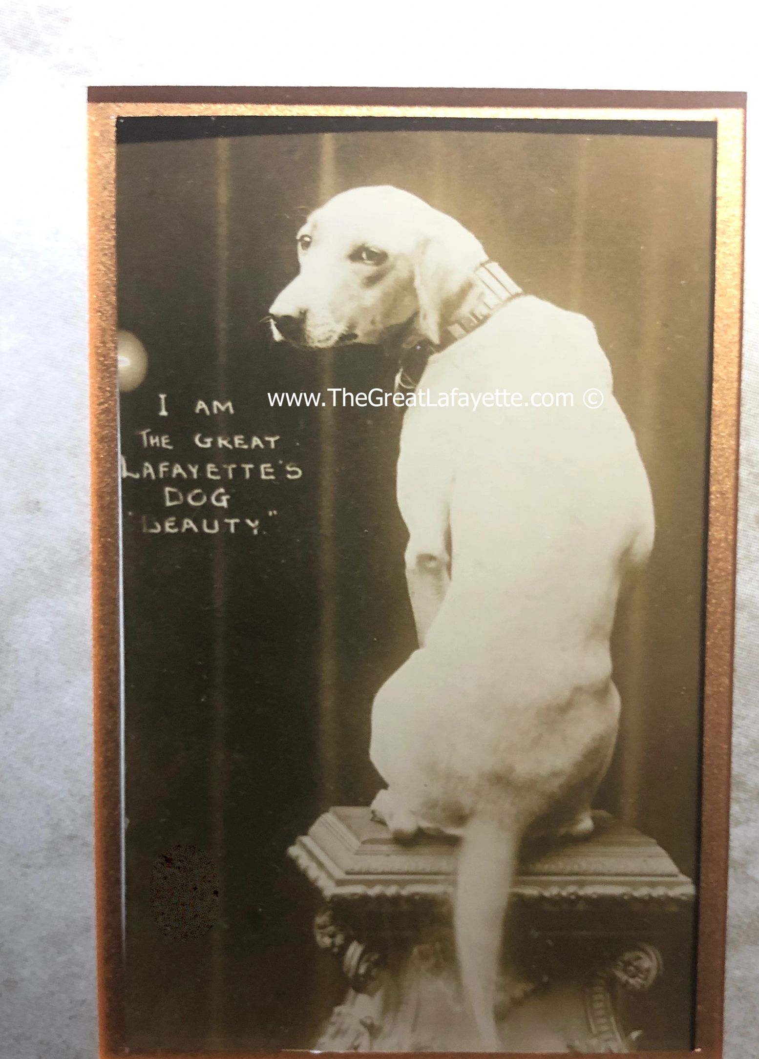 The Great Lafayette - The Great Lafayette Collection