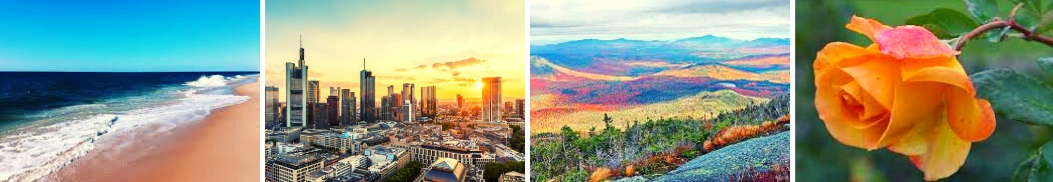 Adventures in New York