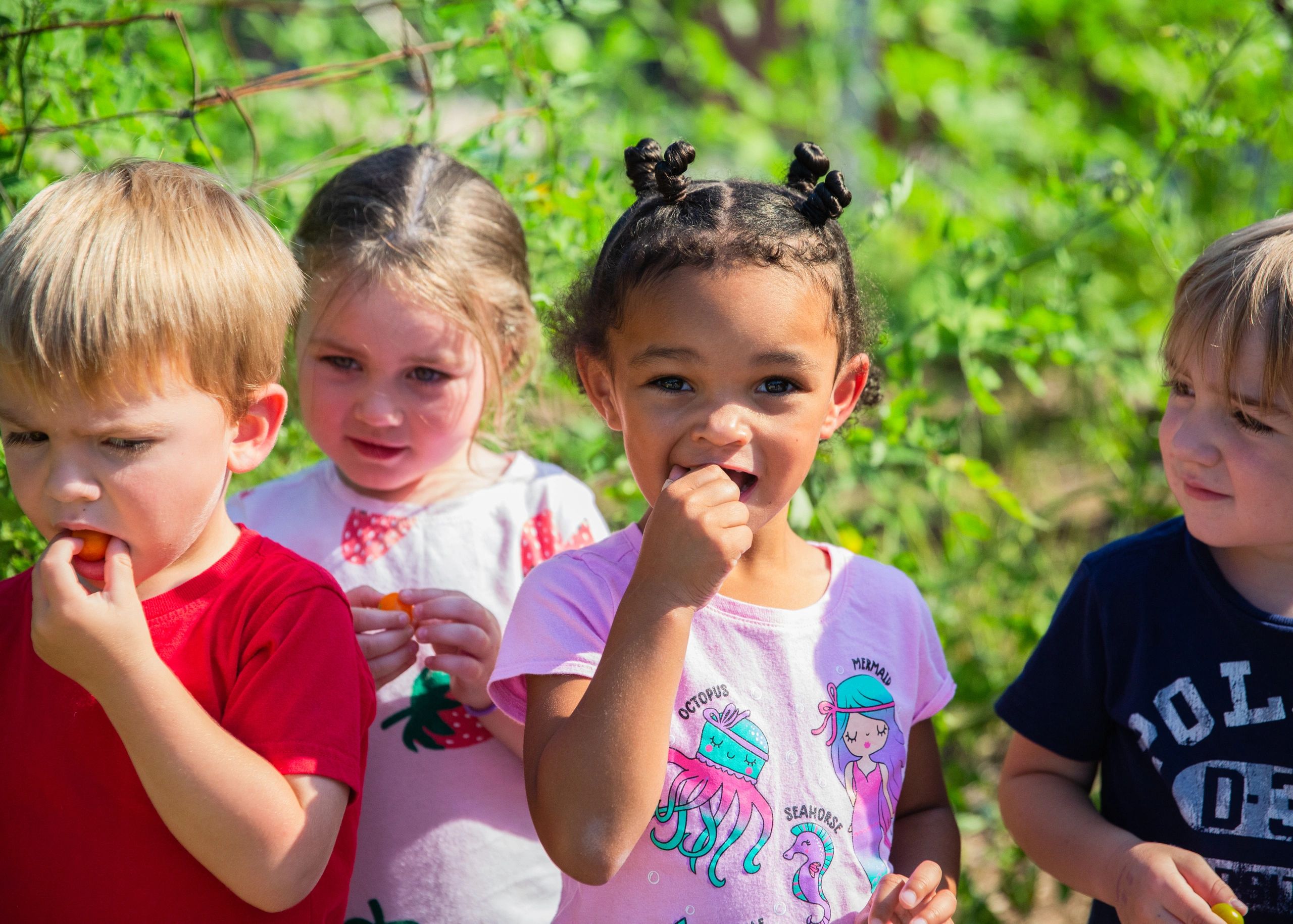 Outdoor Learning School - The Learning Tree Academy