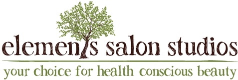 Elements Salon Studios
