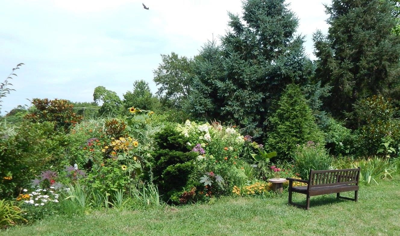 GOSHEN GARDENS - Nursery, Native Plants