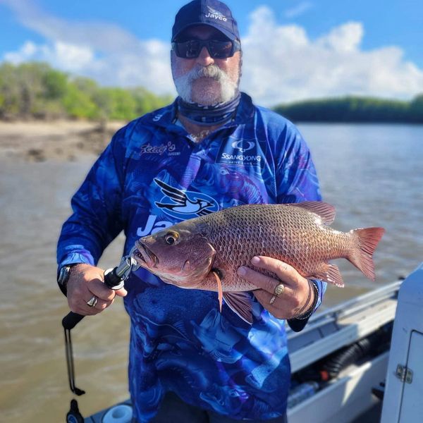 TV Shows | MCW Productions