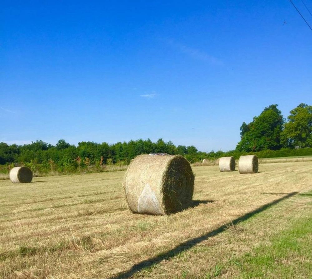 Bed and Breakfast - Rose Dale Farm Bed and Breakfast