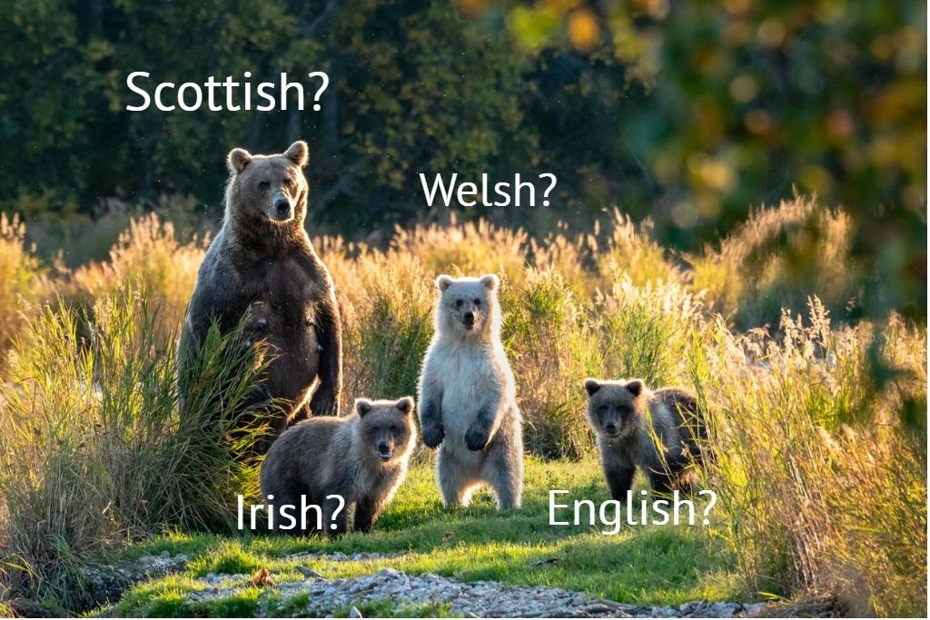 YOUR FOREBEARS