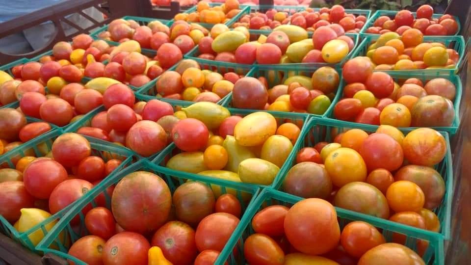 Georgetown Farmers Market