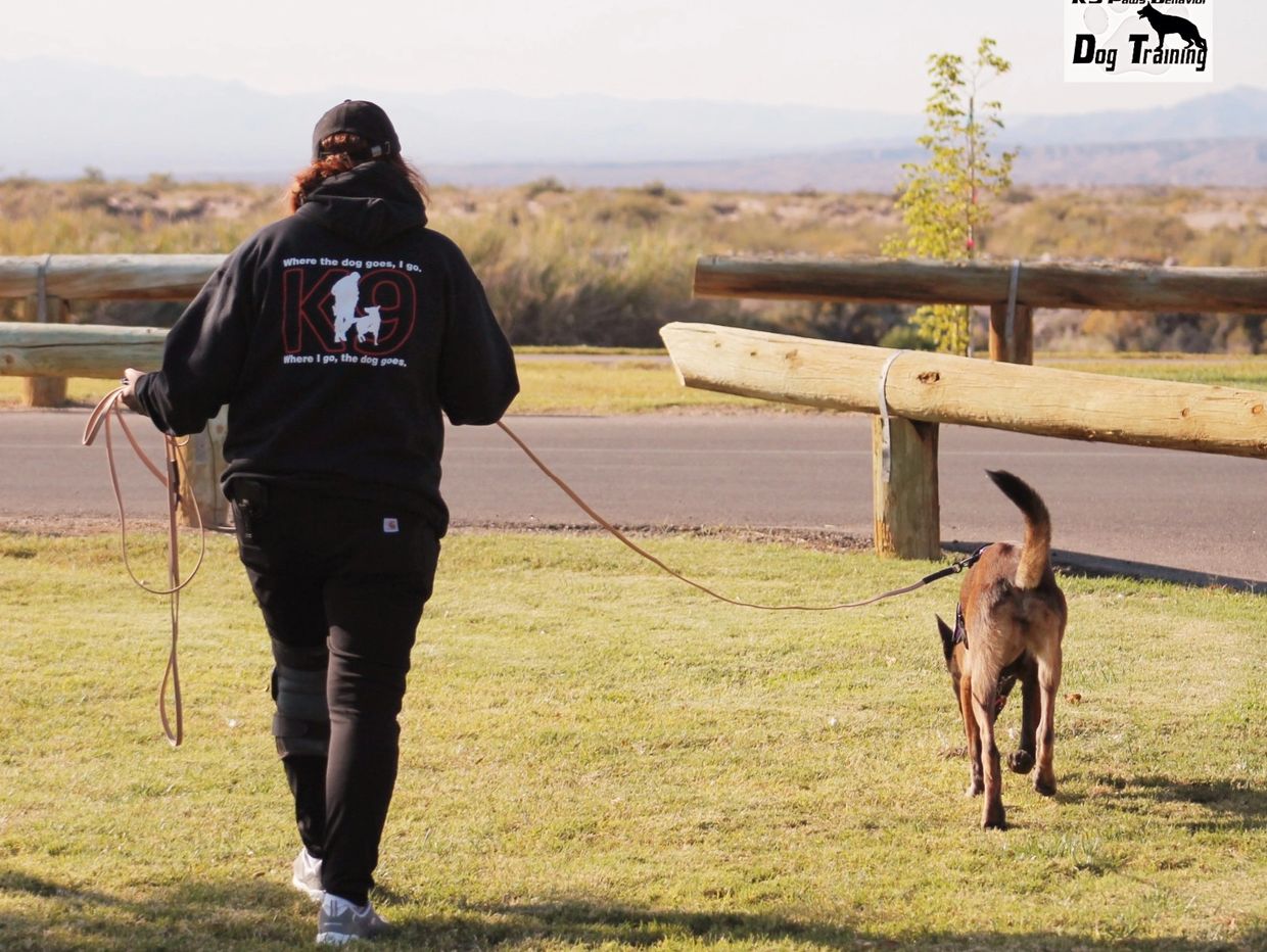 K9 Paws Behavior Dog Training - Home