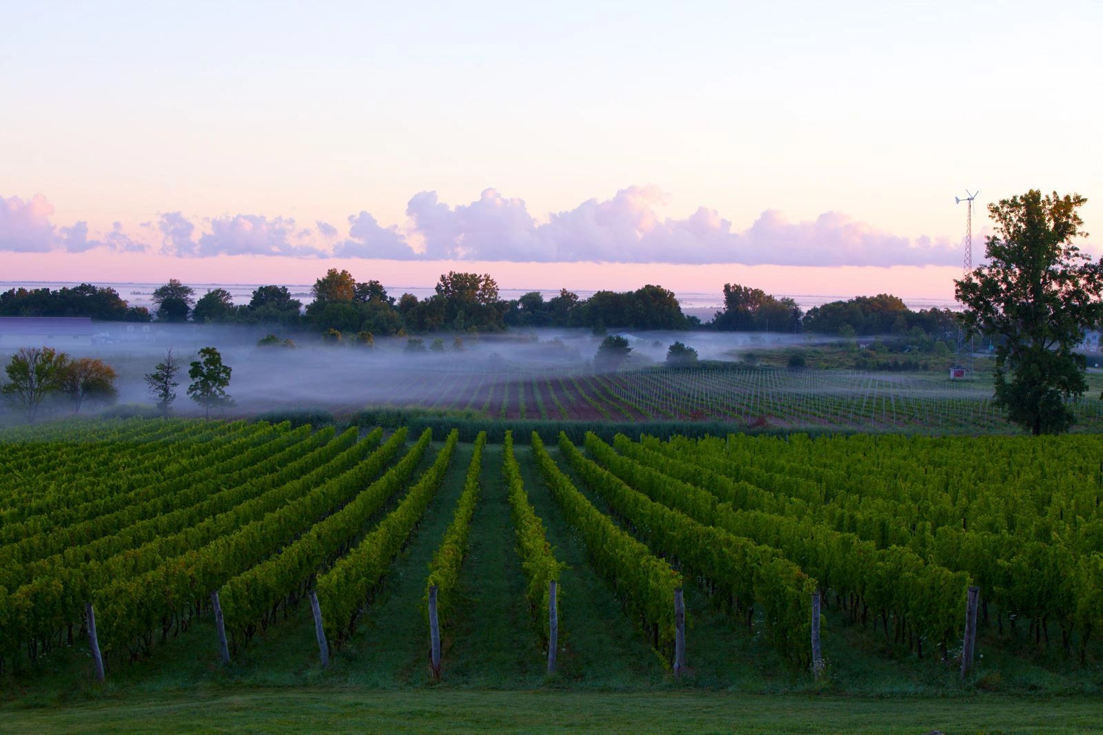 Arrowhead Spring Vineyards - Wine, Vineyard, Coffee, Wine Store, Food