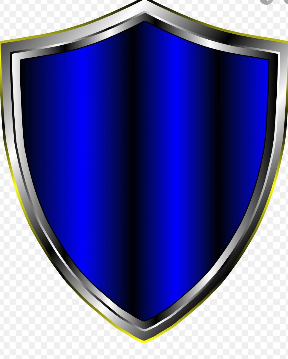 PROTECTING YOUR HOME AND THOSE YOU LOVE WITH YOUR AURIC SHIELD