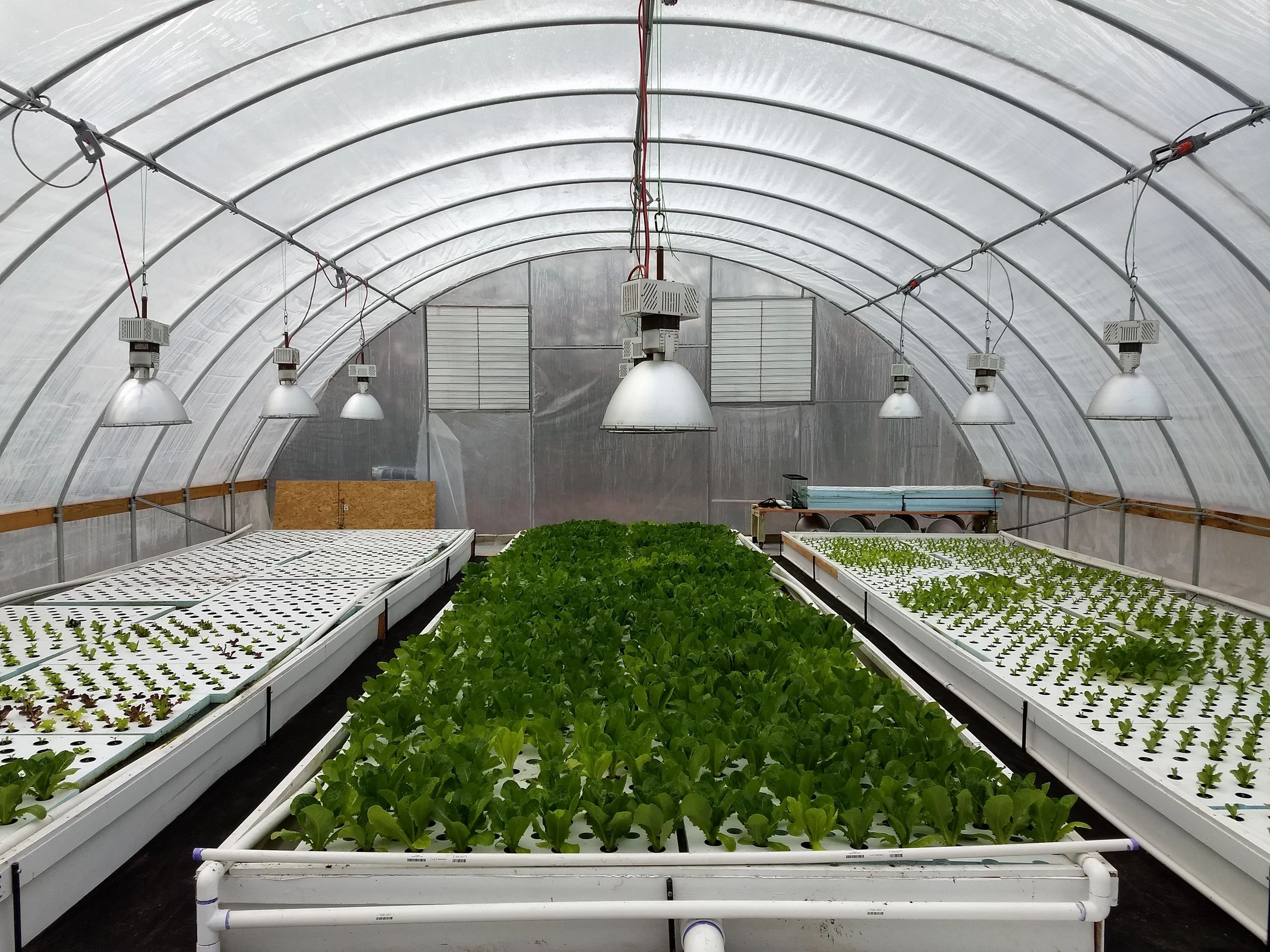 Organic in Toms River - Hs farms