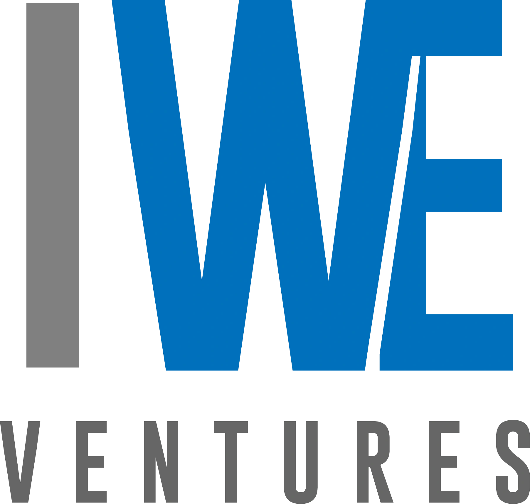 IWE Ventures LLC - Software Development, Product Management