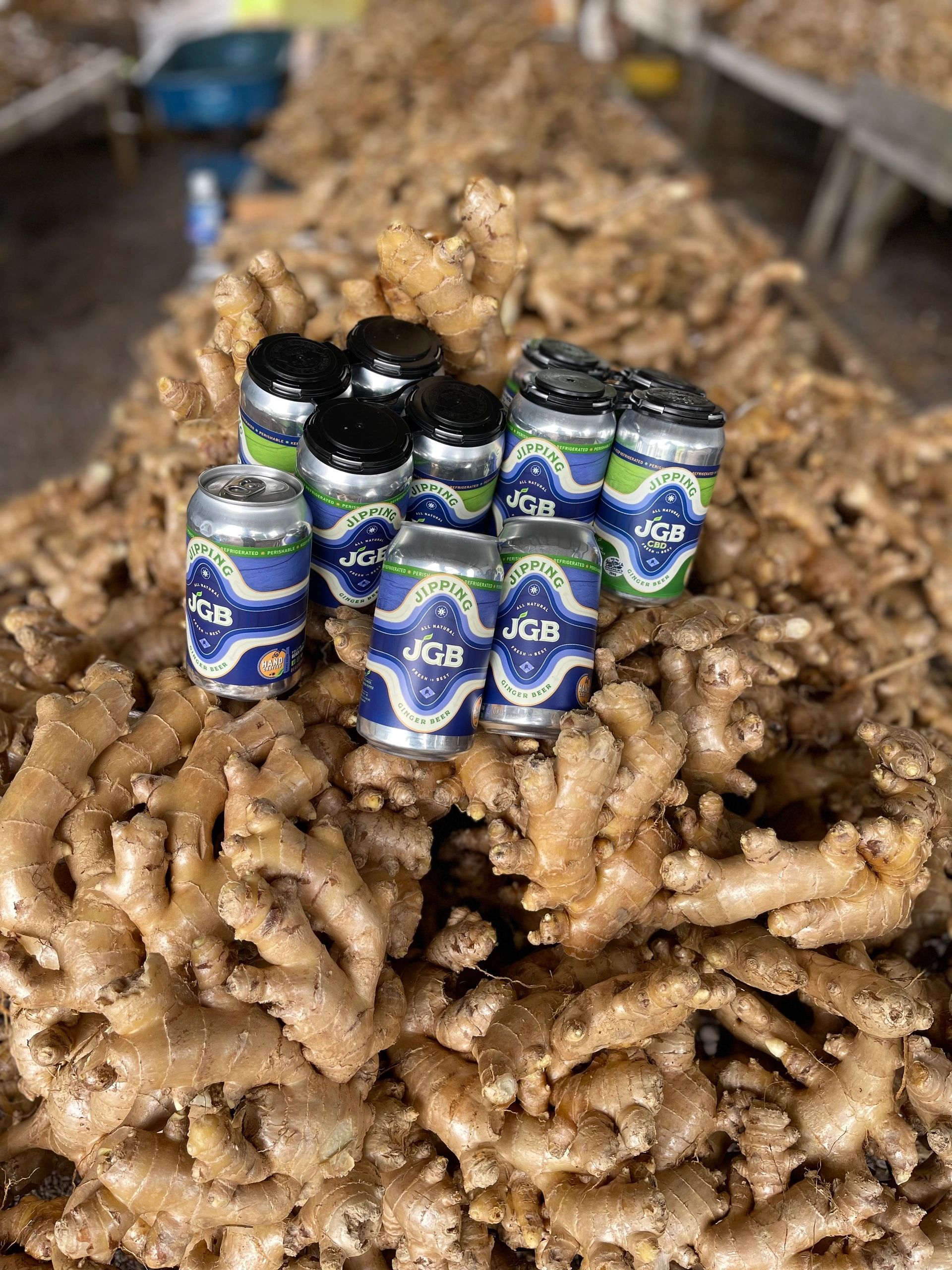 Ginger Beer made FRESH in Anchorage, Alaska!