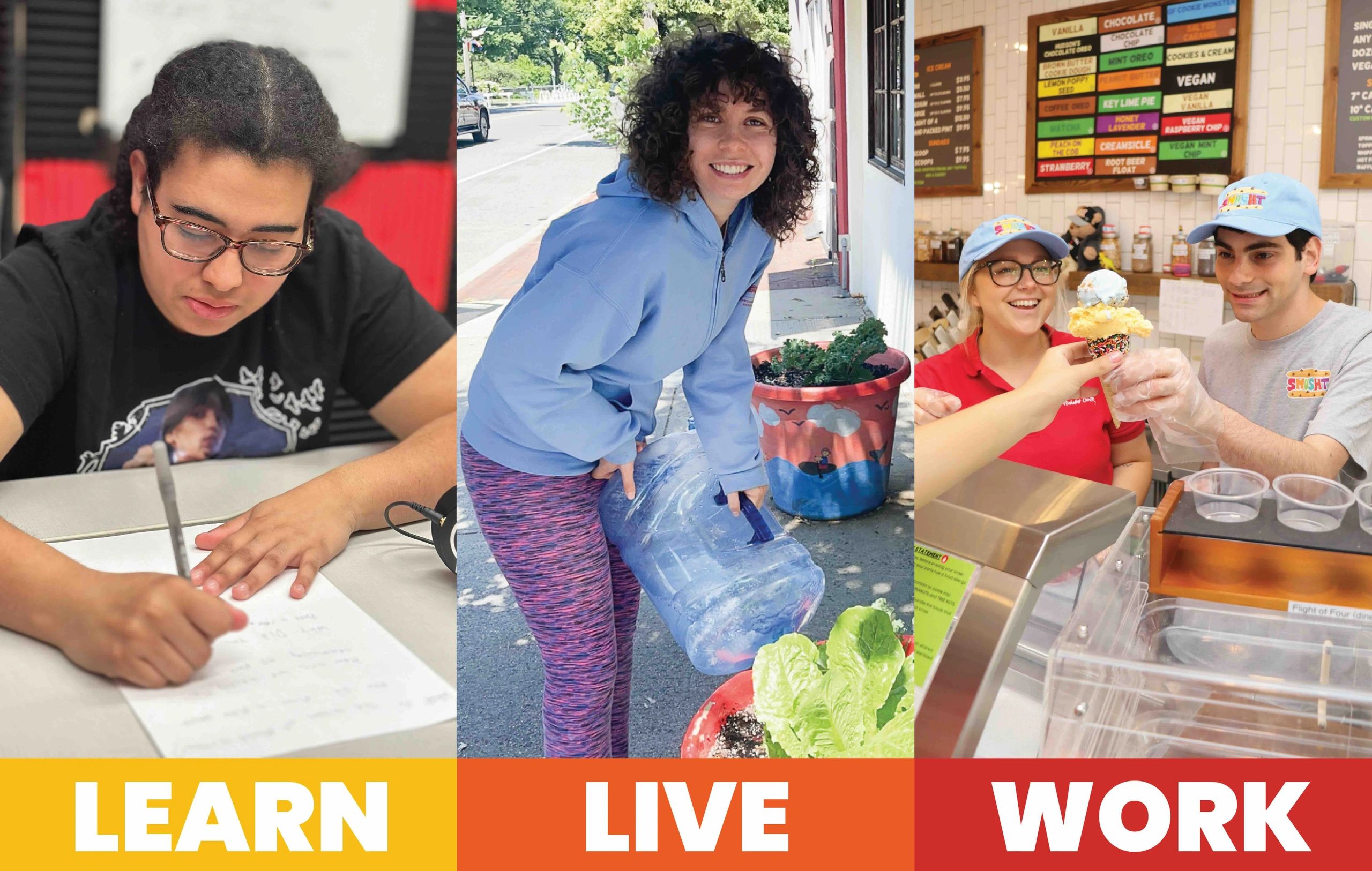 HOME [tncnewyork.org]