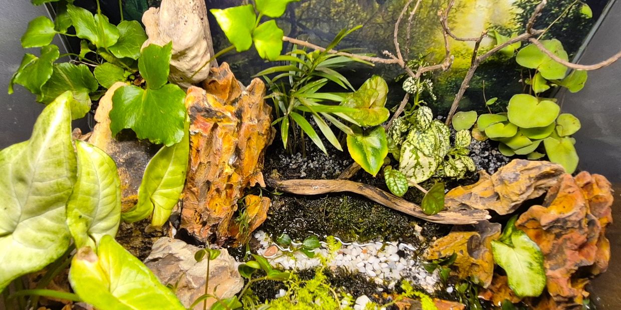 Expert Web Development & Digital Services | Etceterra