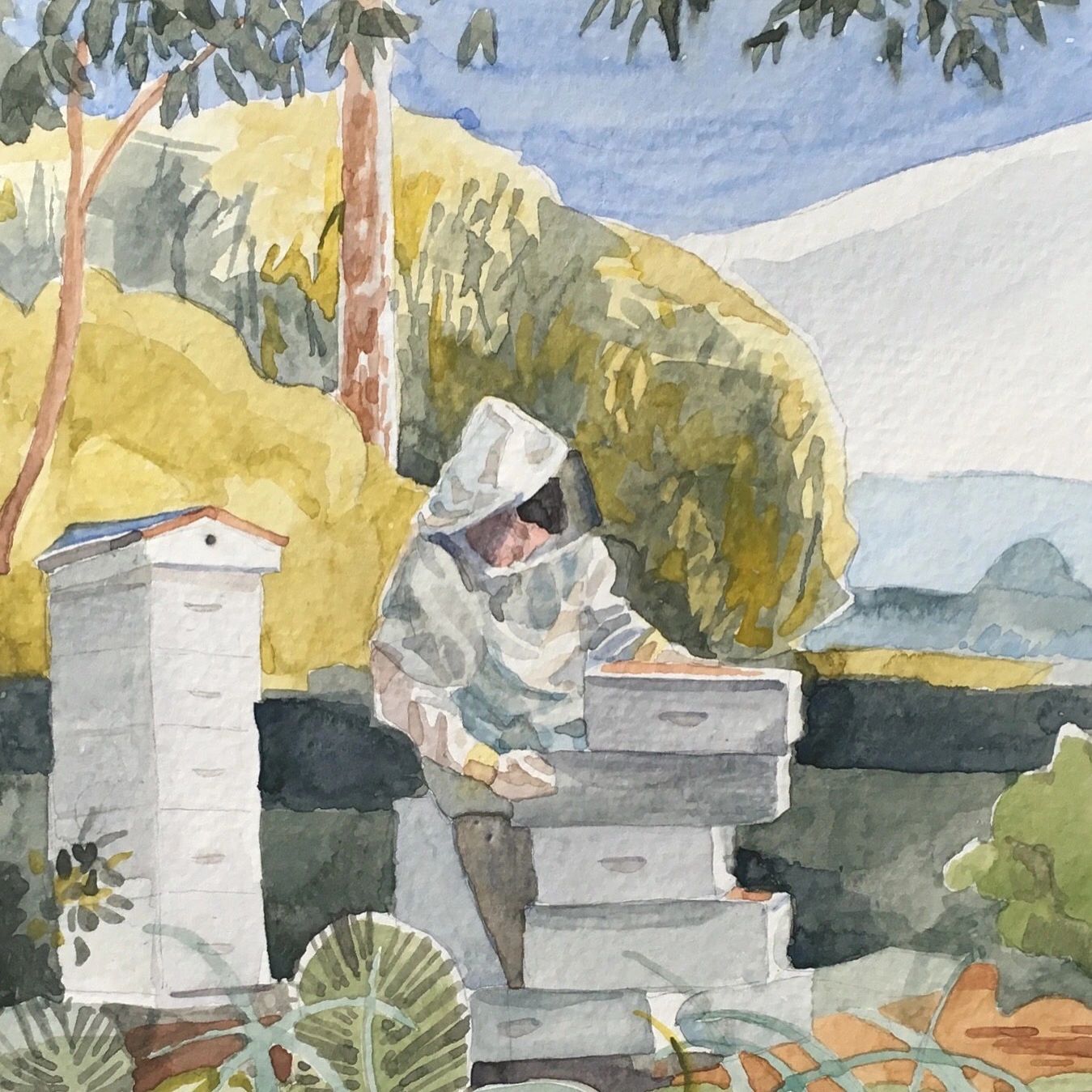 Home [brooksbees.com]
