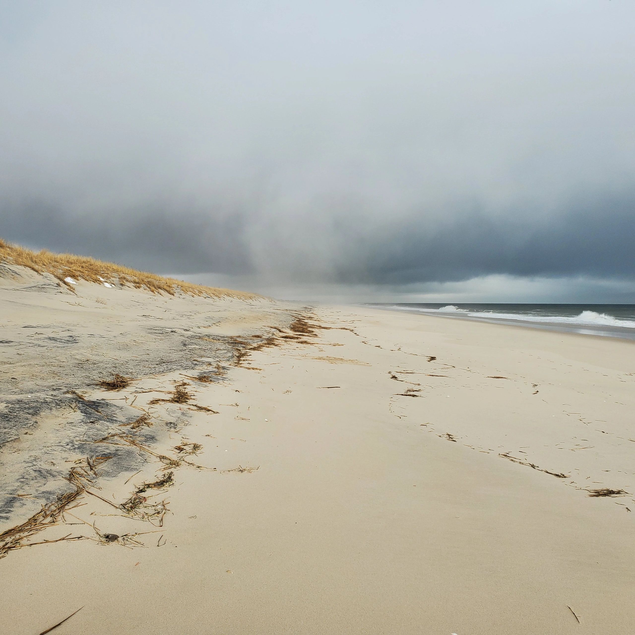 Gallery | Irish Wreck