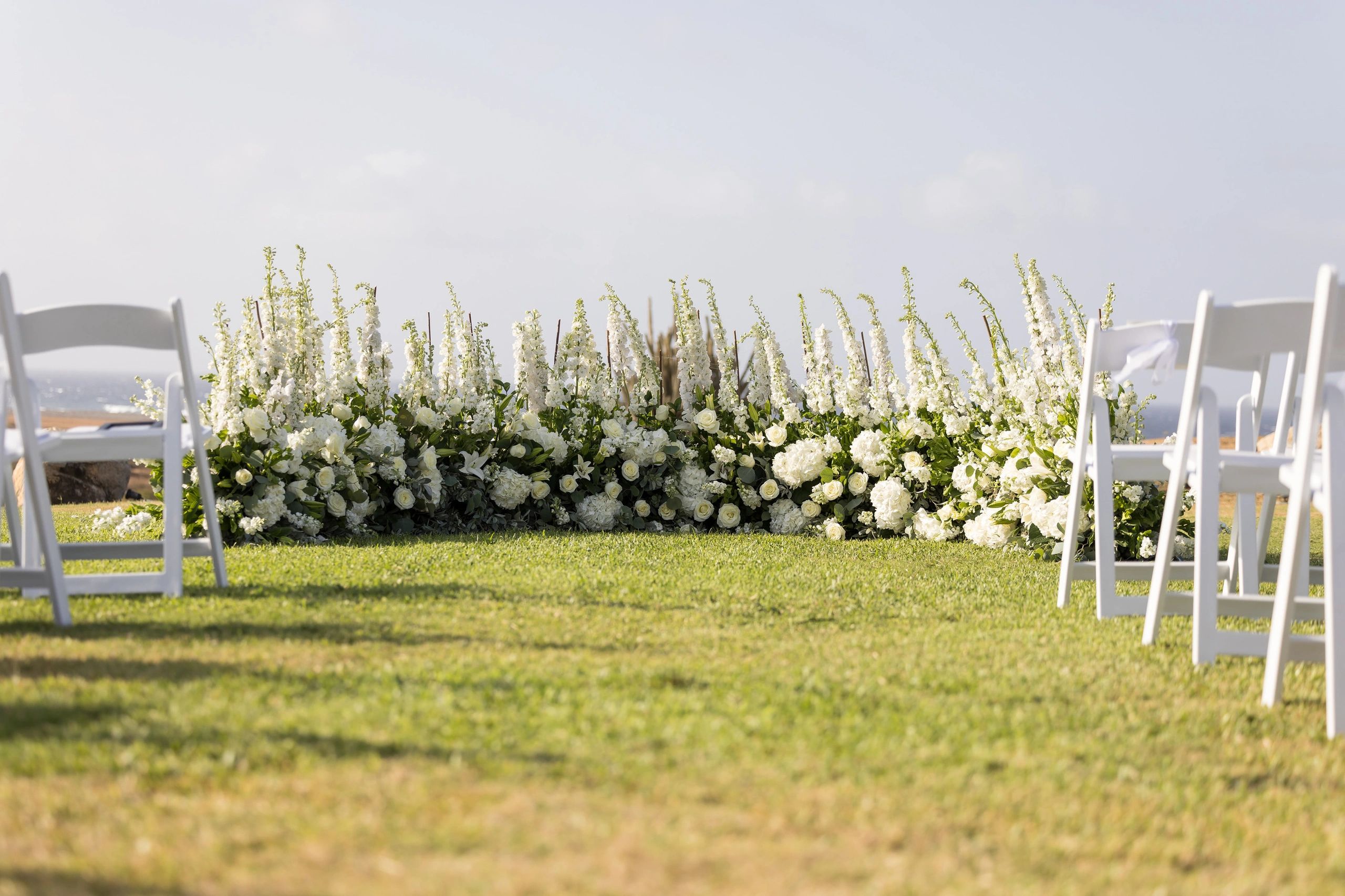 HomePage [amareweddingsaruba.com]