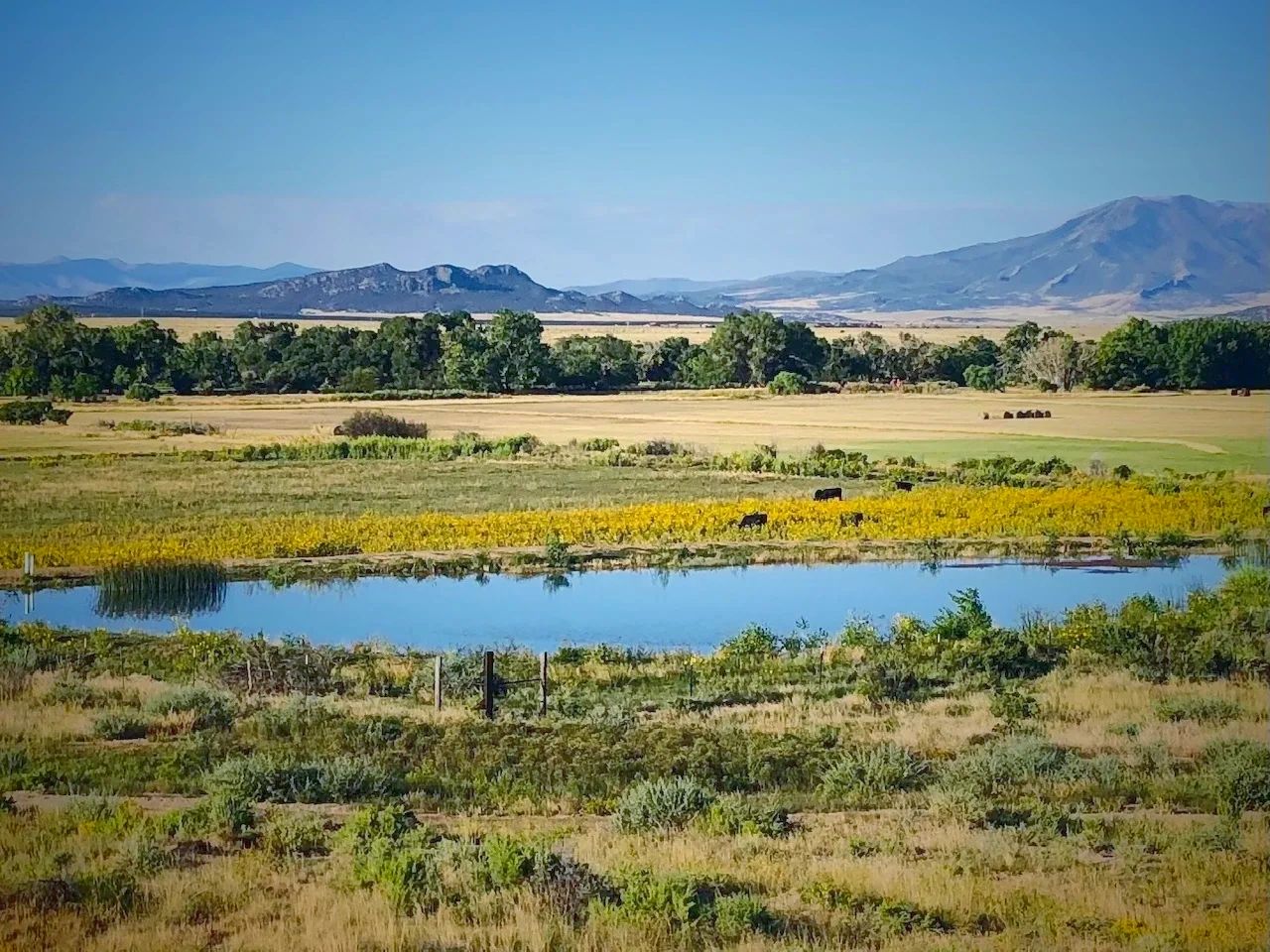 Huerfano River Ranch