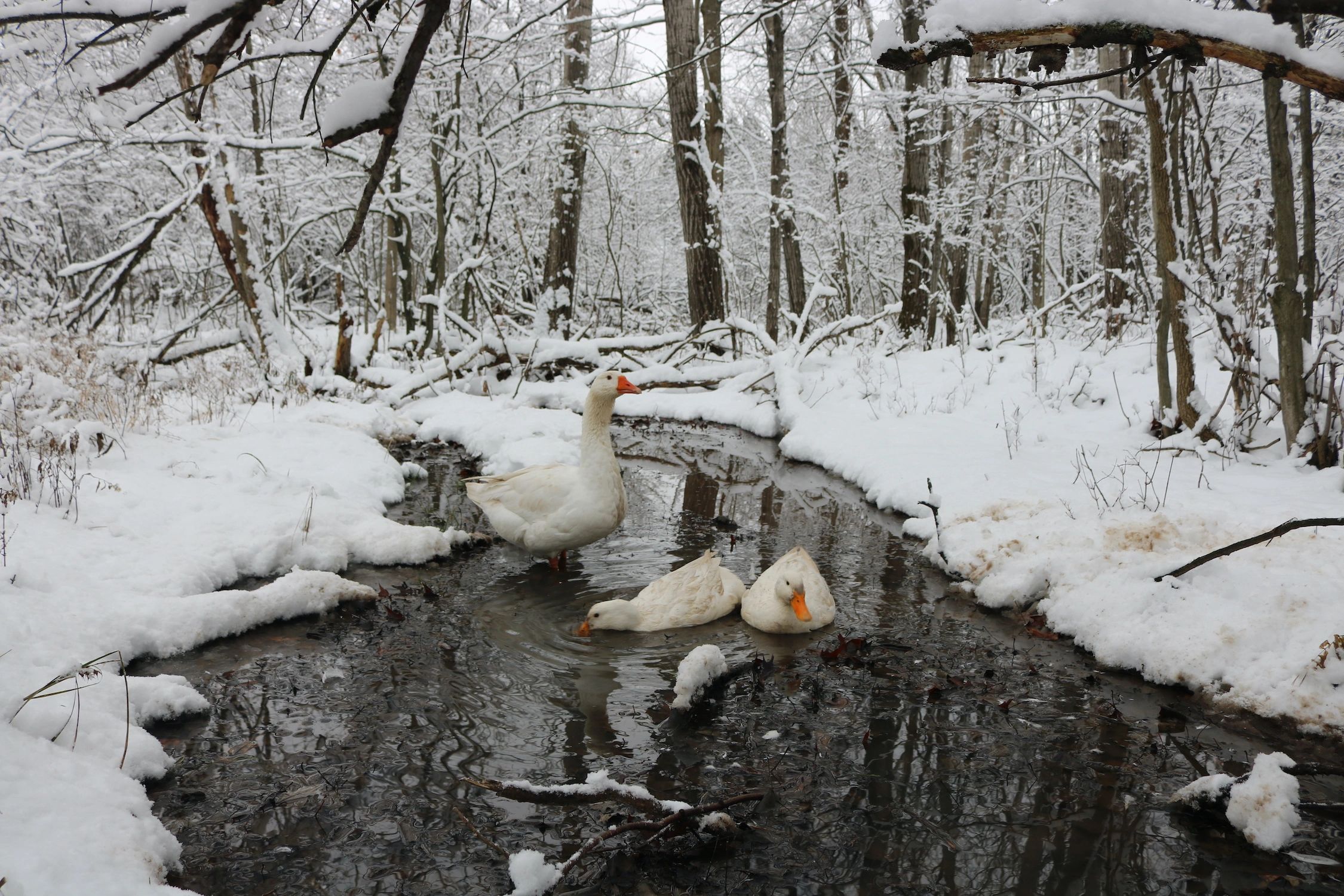 Mundy / Swartz Creek Megasite | EDRA of Michigan