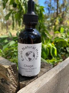Chaga Mushroom Tincture