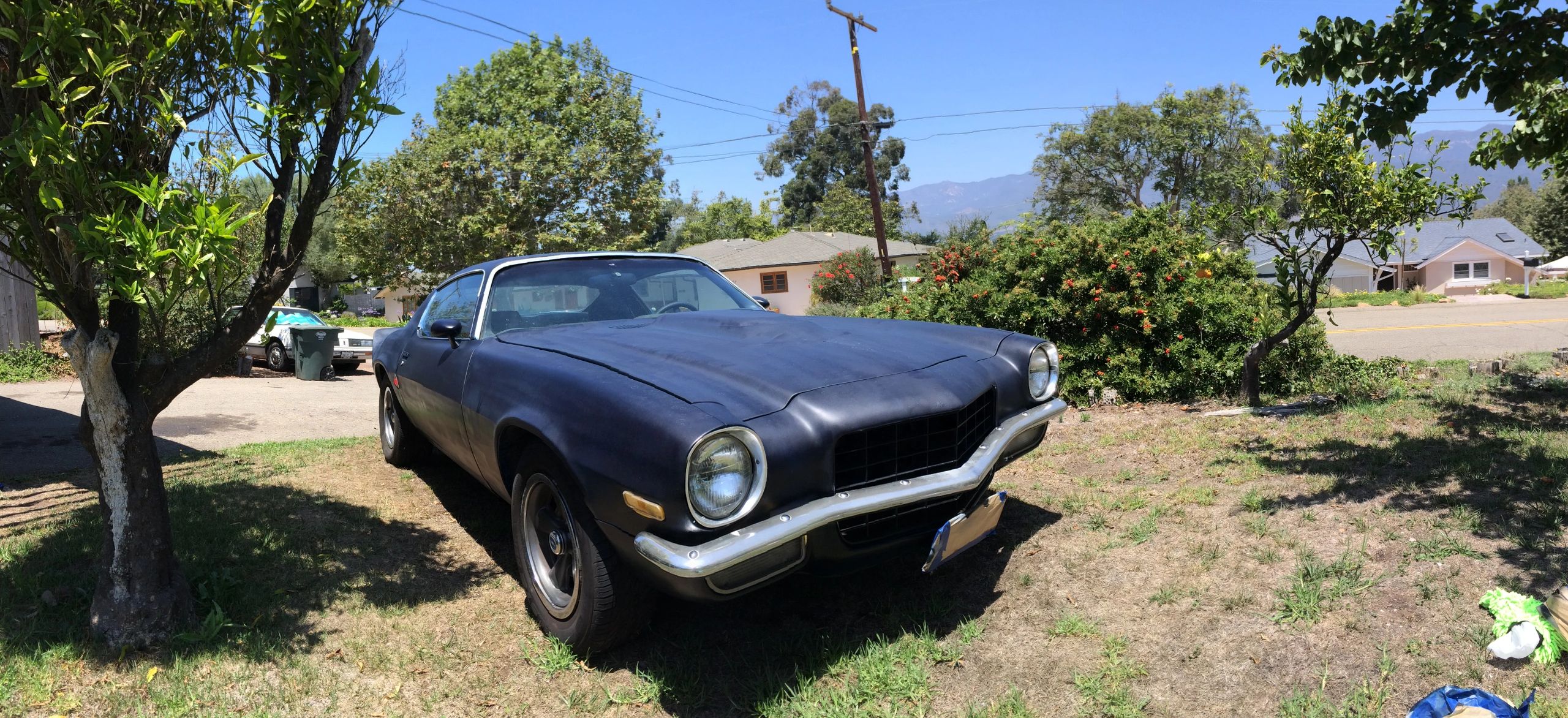 Home Page | Iron Lion