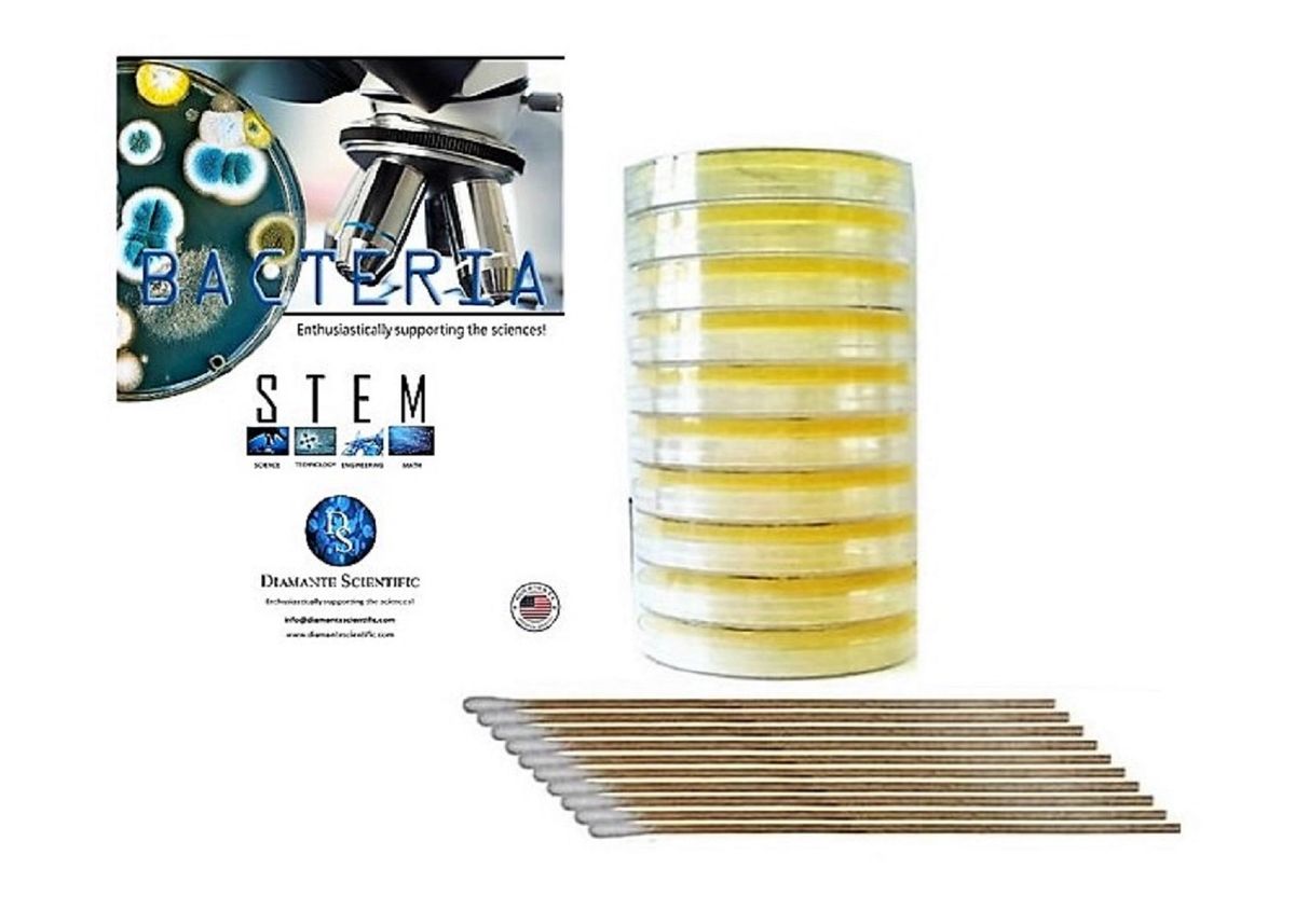 Essential Bacteria Growing Science Kit