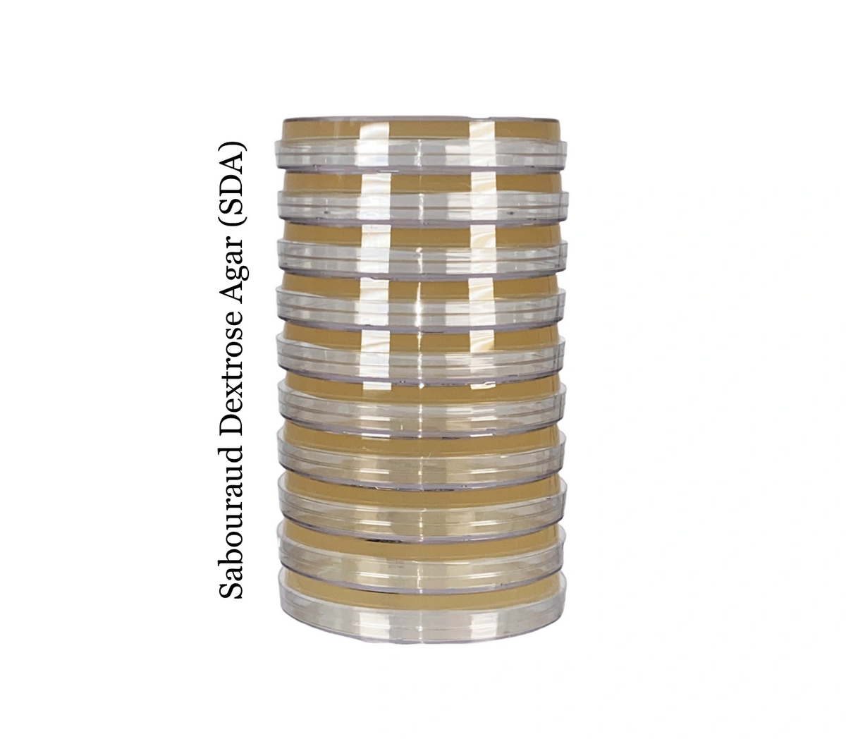 Sabouraud Dextrose Agar (SDA), (10-Pack), Pre-Poured, 15x100mm Petri ...