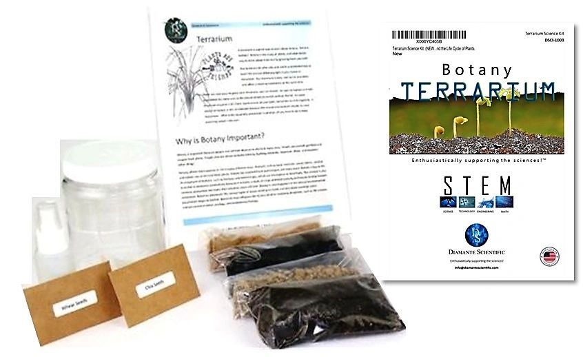 Terrarium Kits - Botany