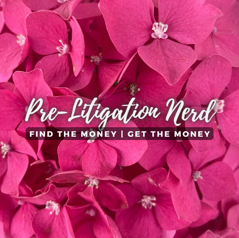 Pre-Litigation Nerd