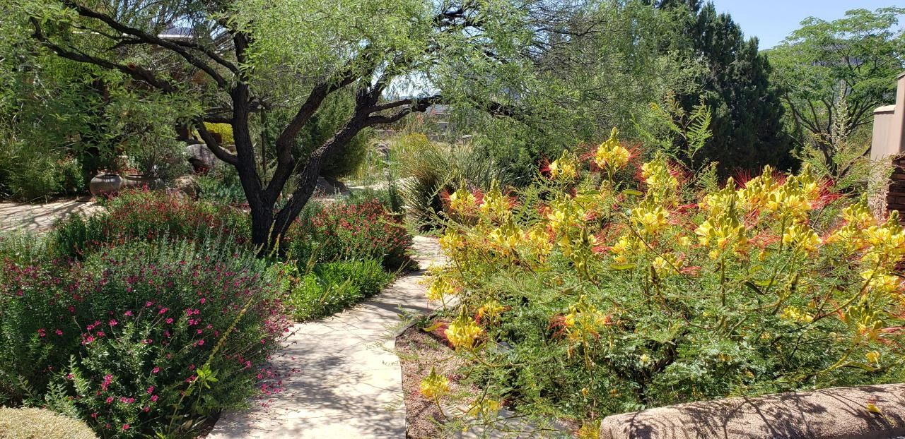 Back O' Beyond Ranch HOA