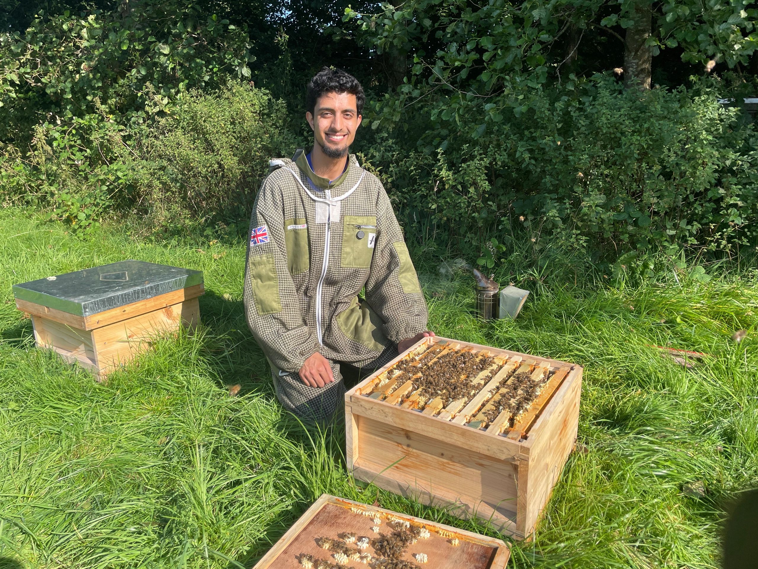 Beekeeping Workshops for Schools - Buzzing with Wonder