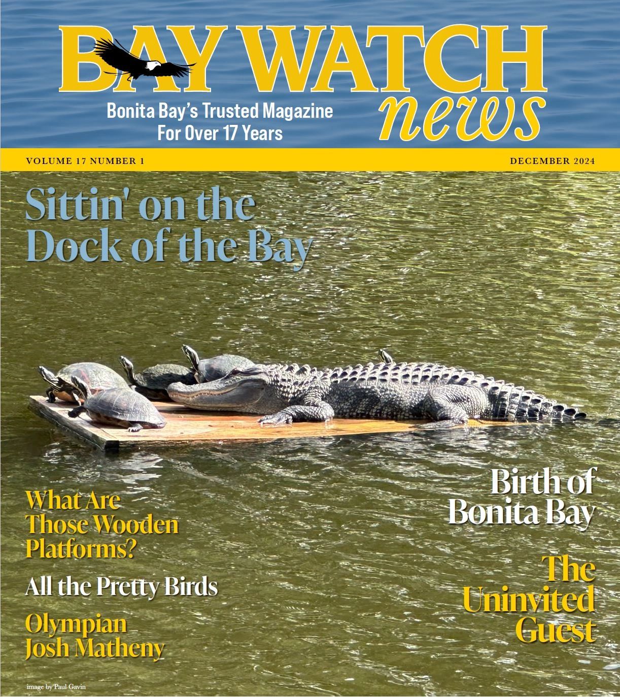 Bay Watch News