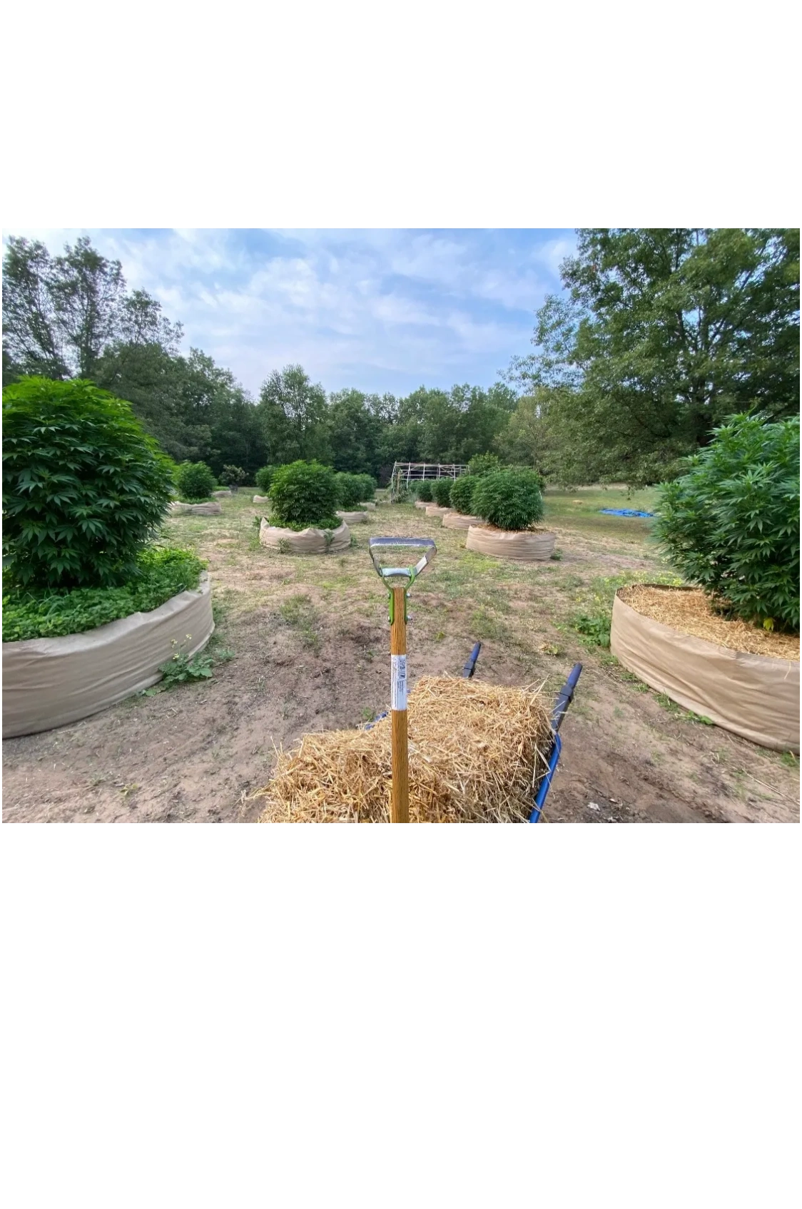 About | Chuchunaa Farms