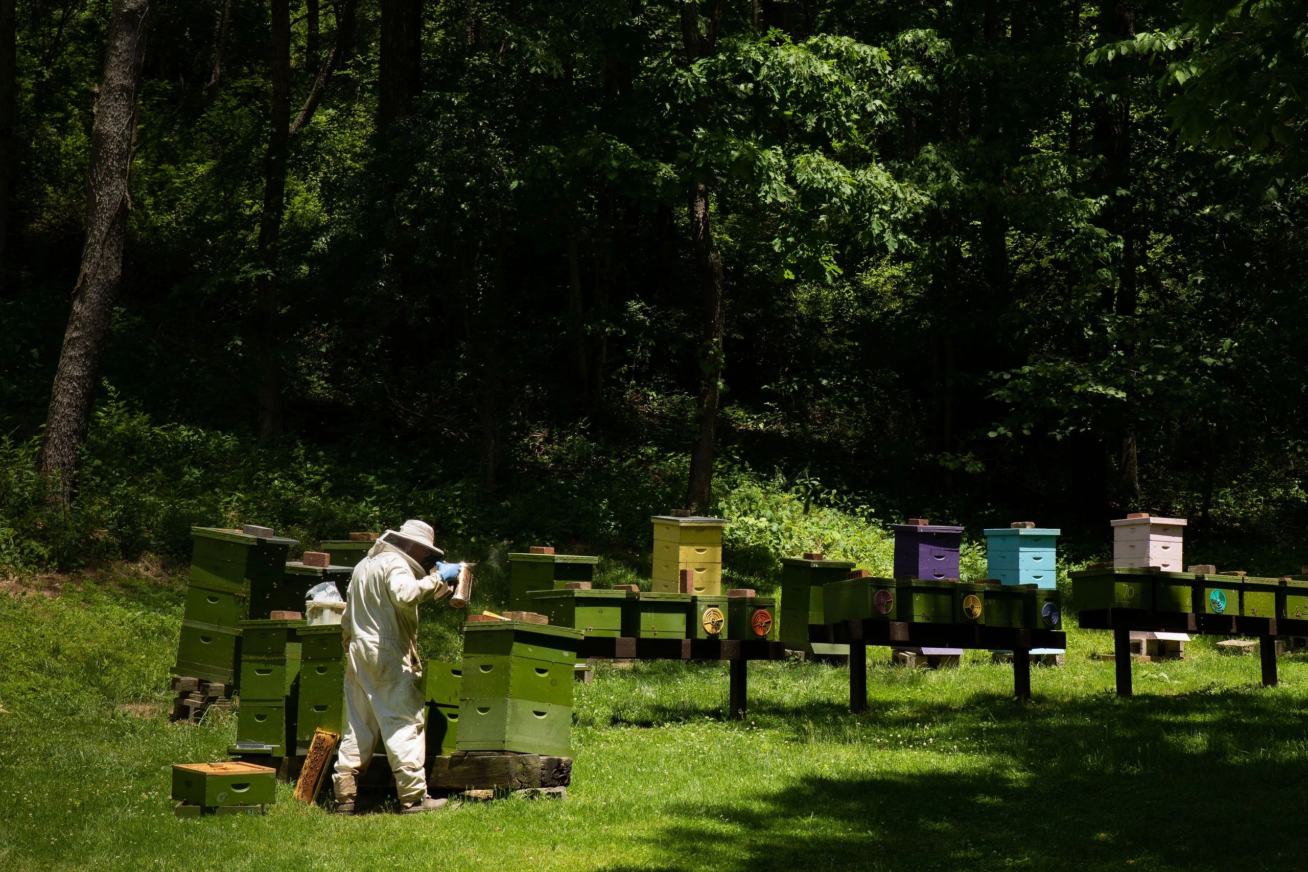 Our story | Country Barn Farm