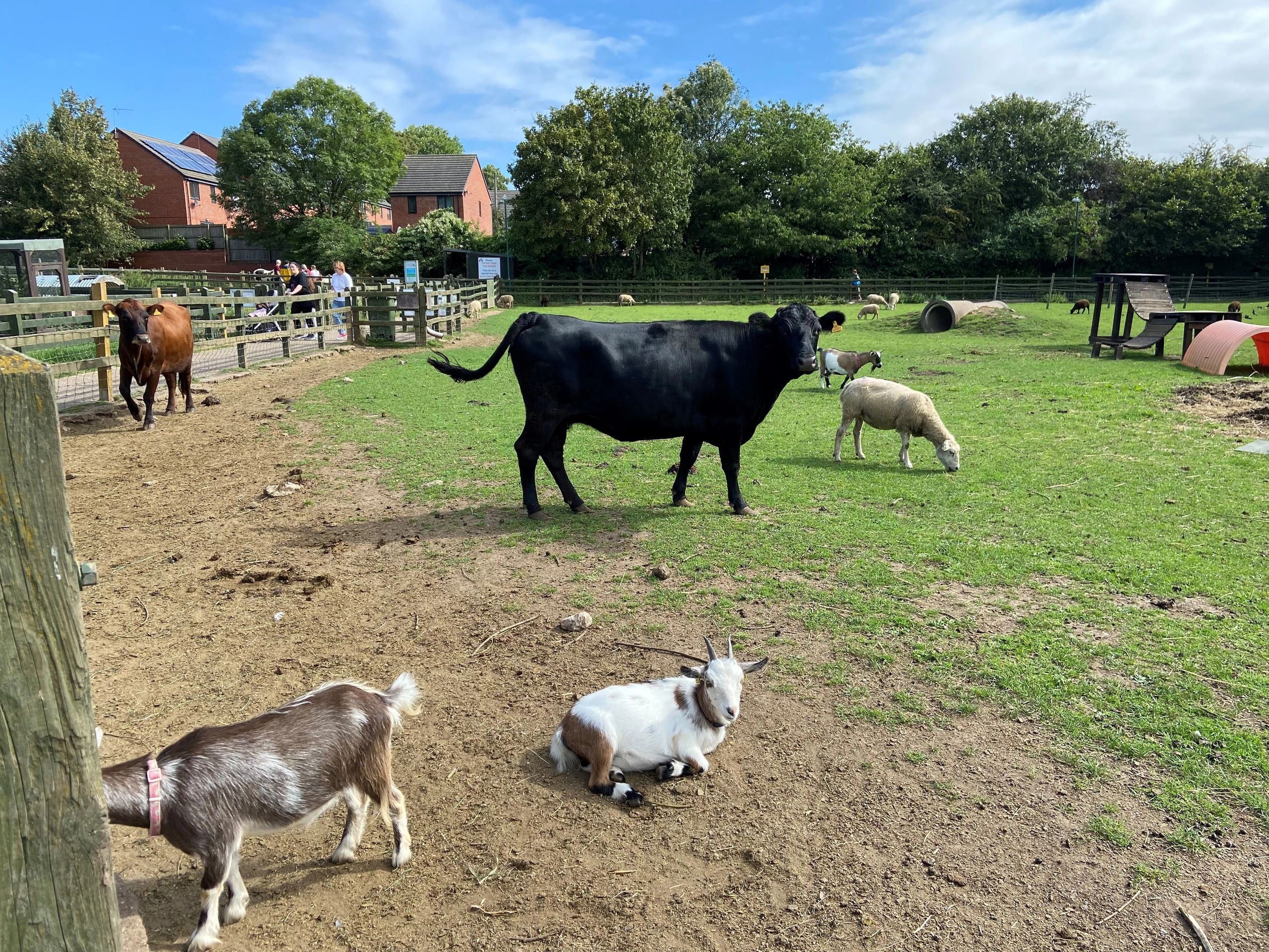 Stonebridge Farm Nottingham