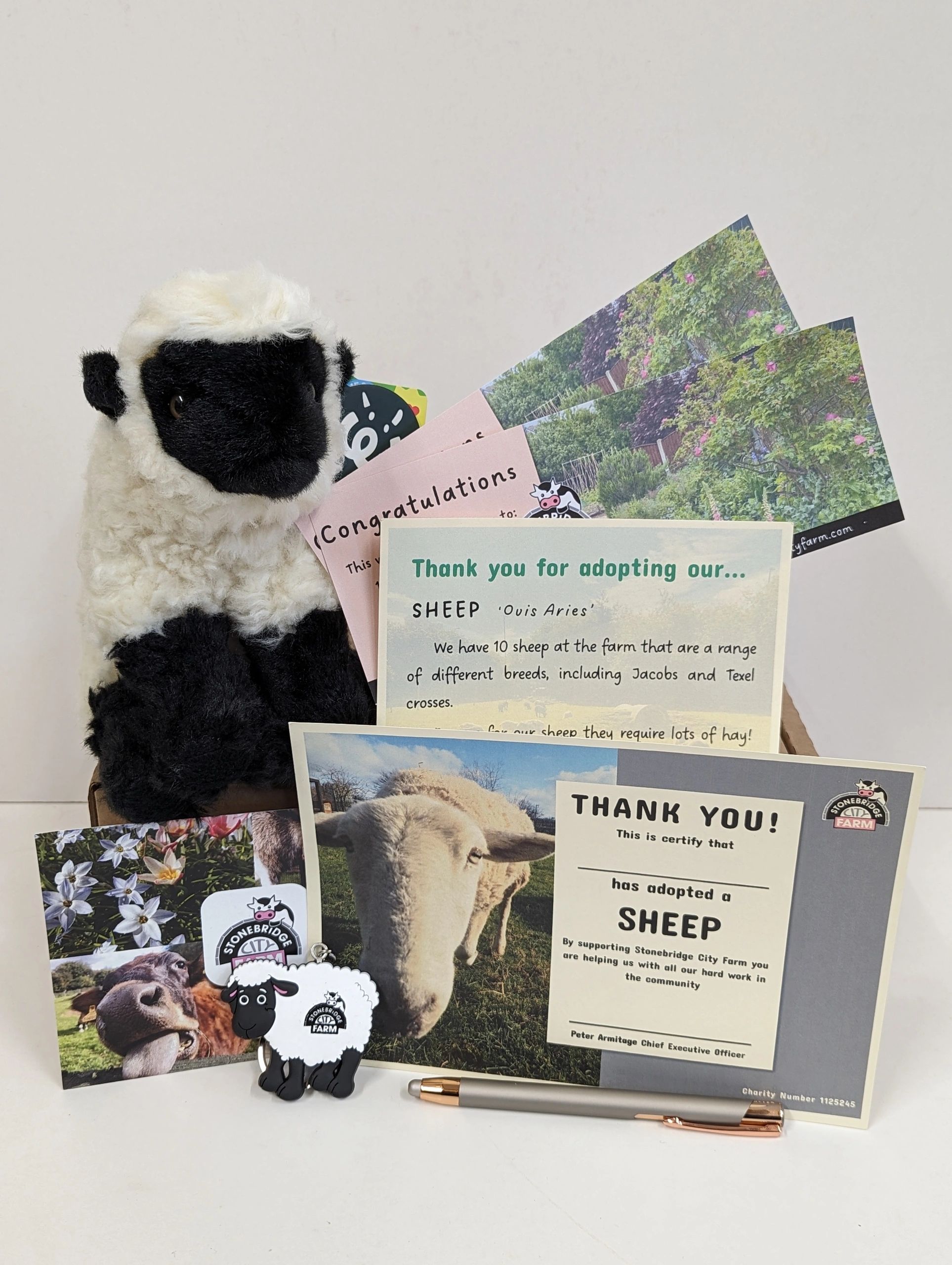 Stonebridge City Farm