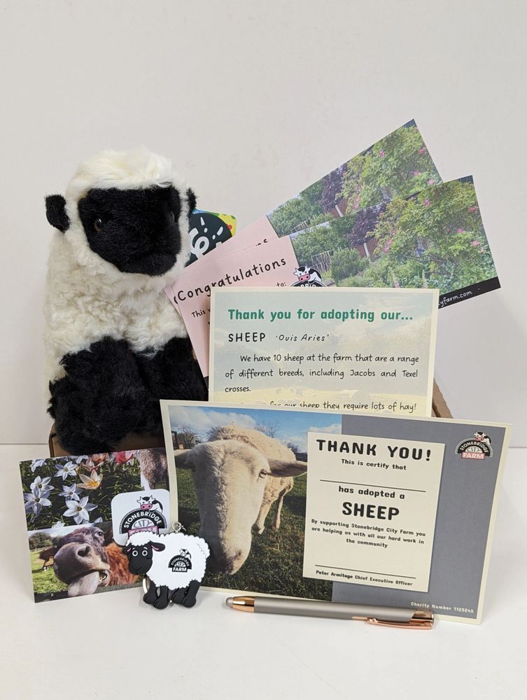 Stonebridge City Farm