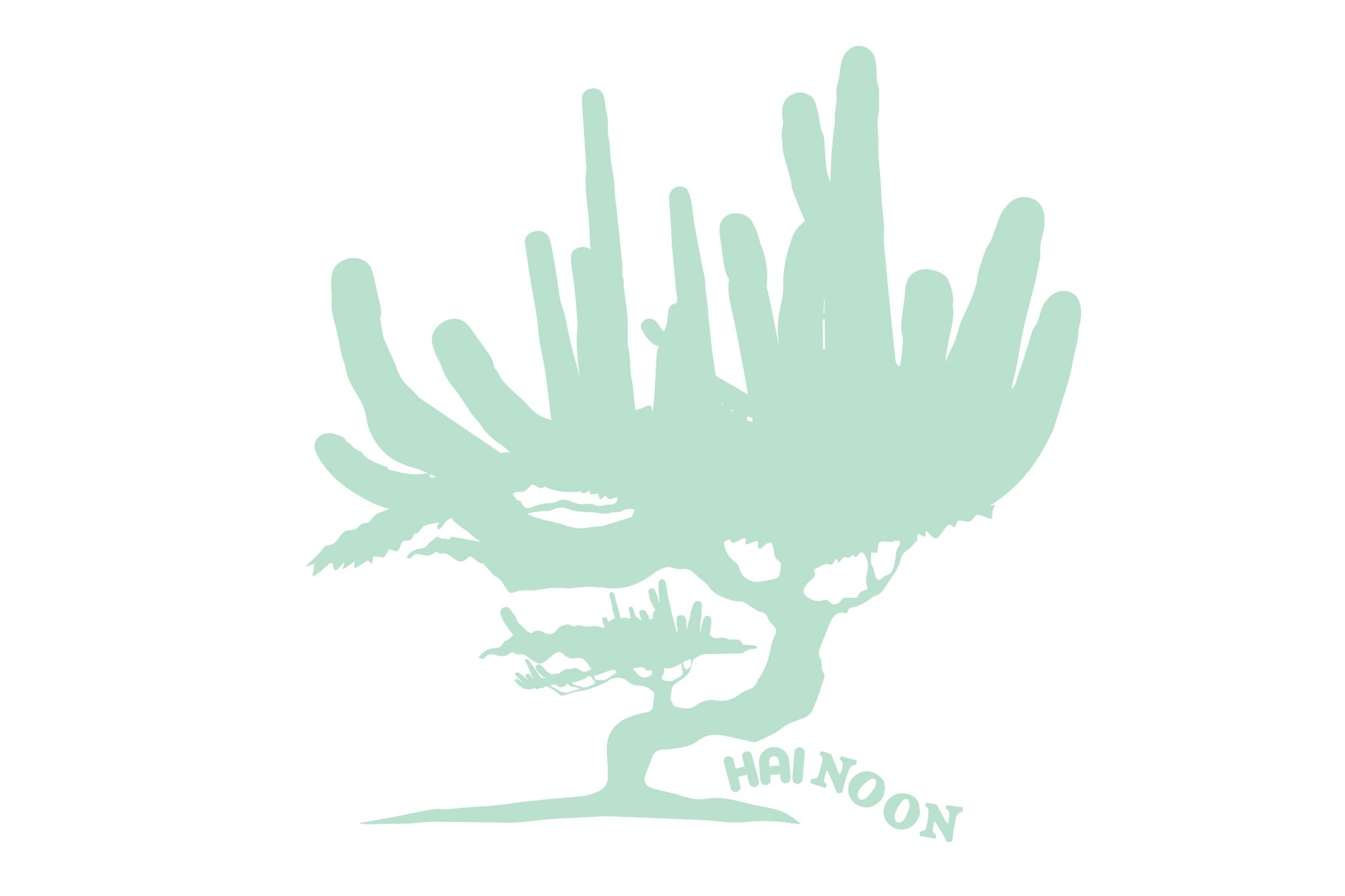 Home [hainoonaz.com]