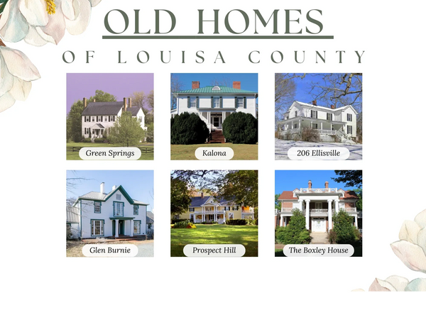 Home [www.louisahistory.org]