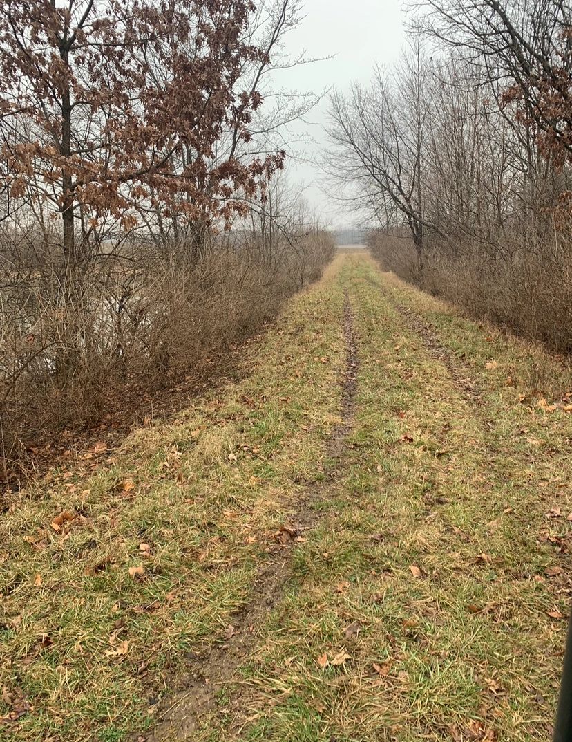 ASH Land Clearing - Home