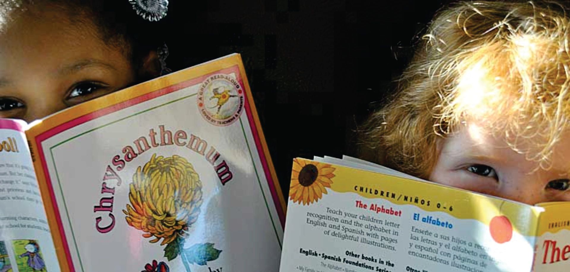 ABOUT FERST FOUNDATION