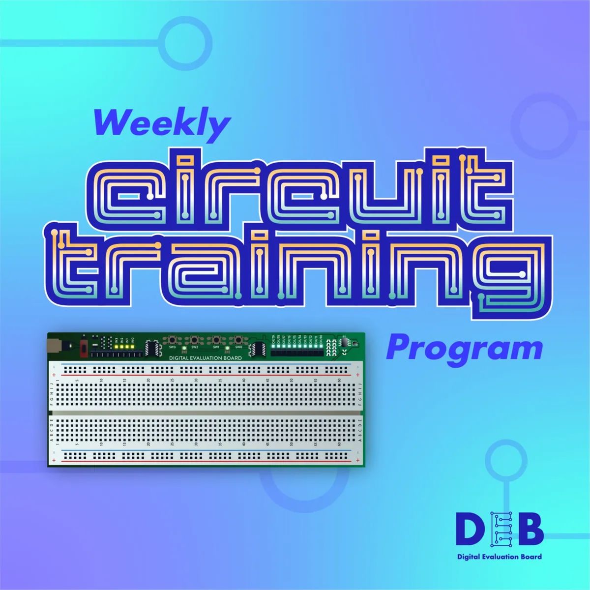 Weekly Circuit Training Program (4 sessions)