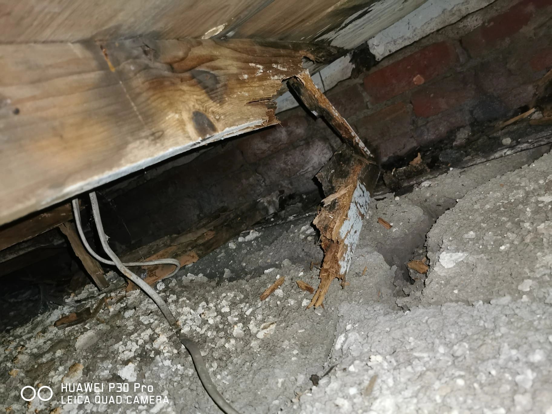 The Damaging Effects of Damp on Timber: Understanding the Threat