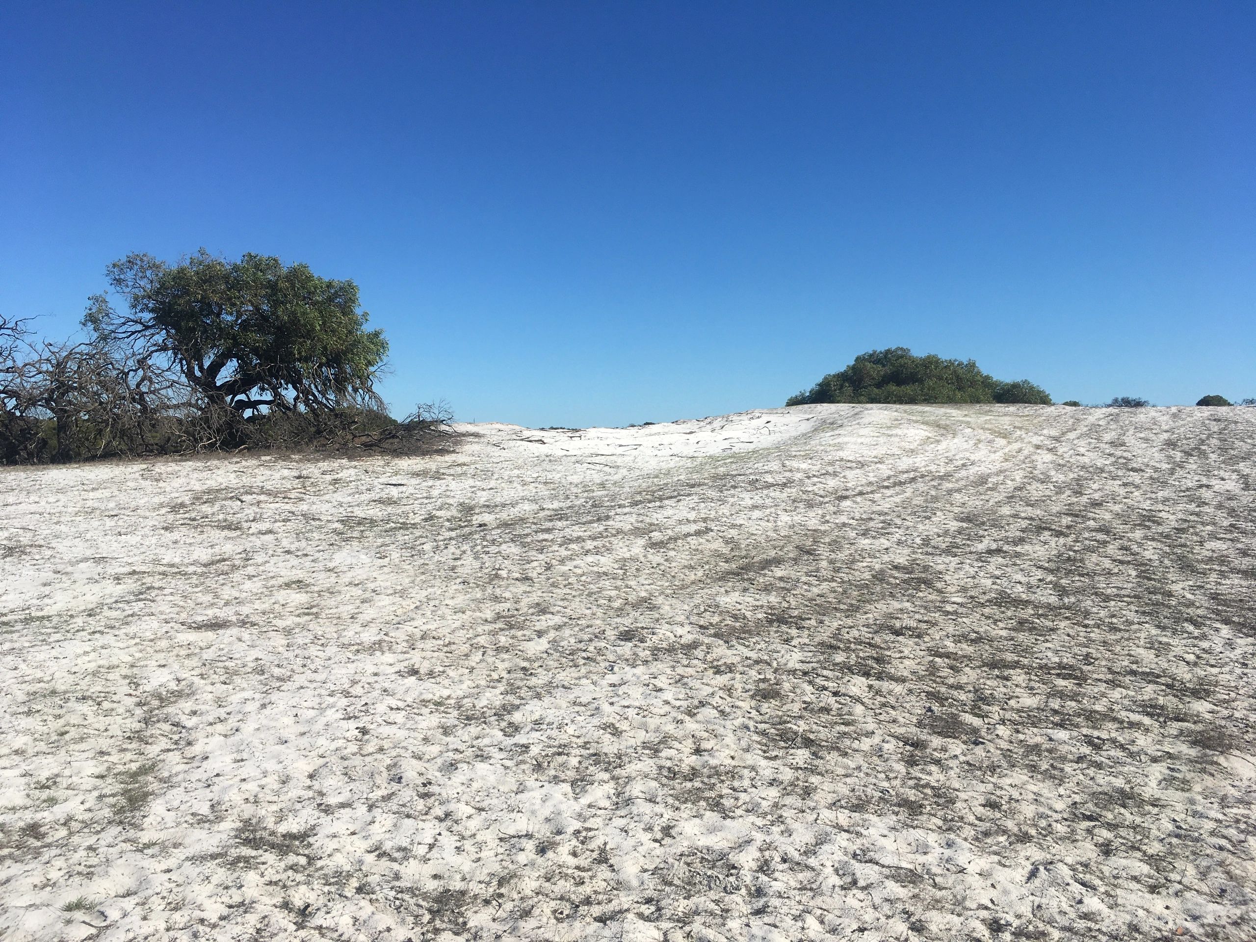 High Purity Silica Sand