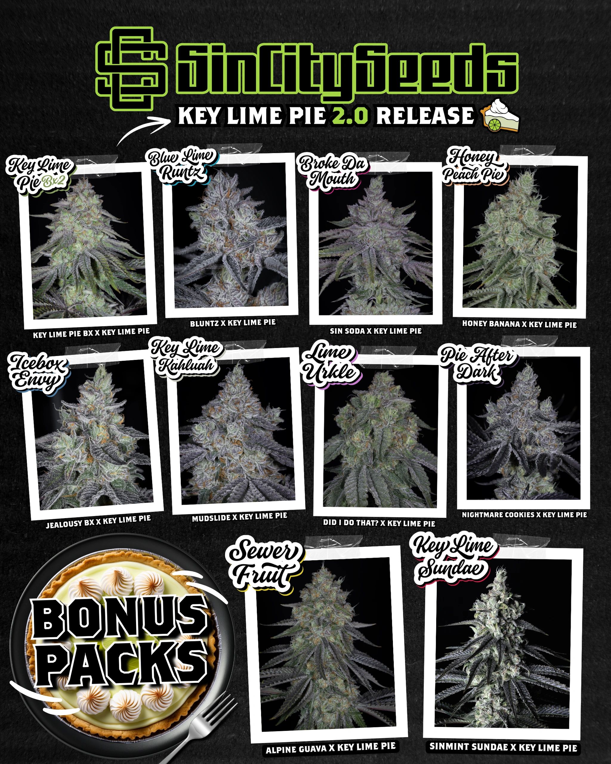 SINCITYSEEDS