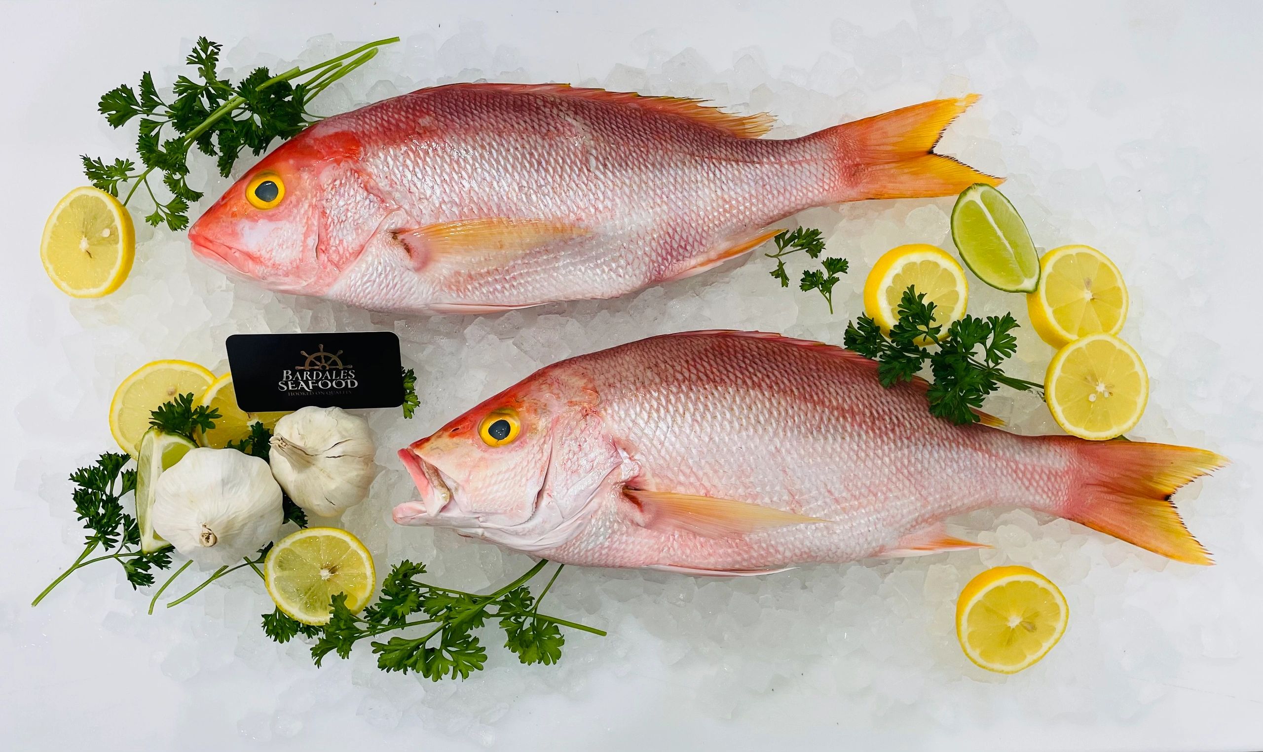 Bardales Fresh Seafood Market